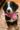 Bernedoodle Generations Guide (F1, F1b, F1bb, F2, F2b etc.) | PupTraveller